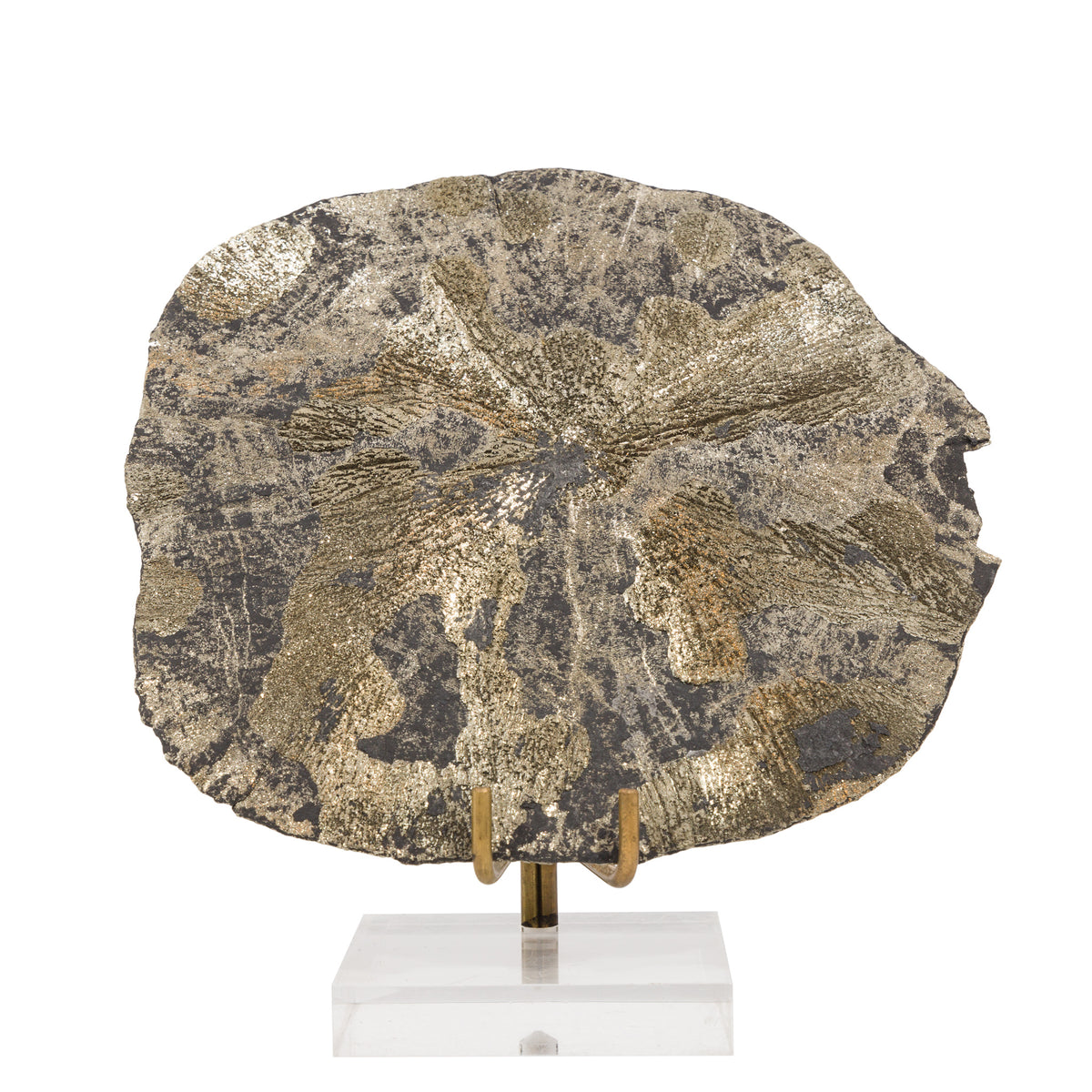 Pyrite Sun 5.75" Natural Crystal Specimen | 407 Grams – Crystalarium